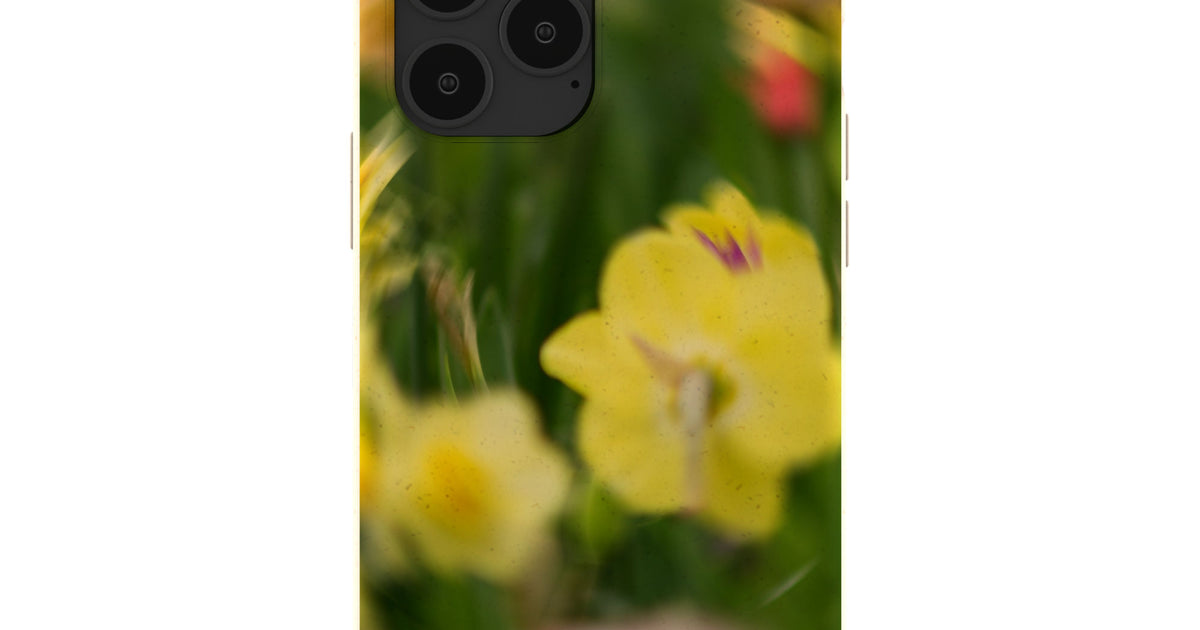 Seashell Full Bloom iPhone 11 Pro Case – Pela Case