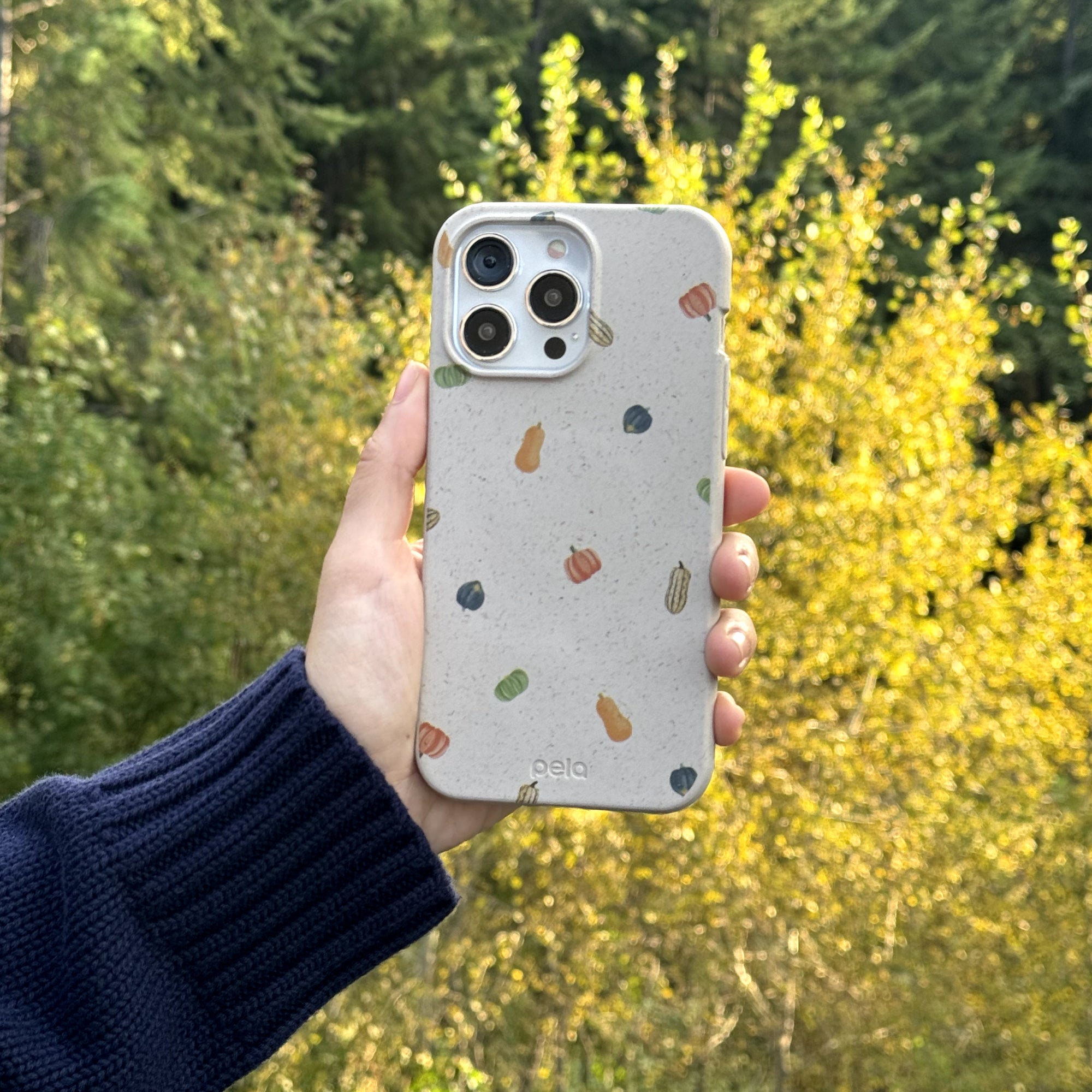 iPhone 16 Pro Max Cases – Page 8 – Pela Case