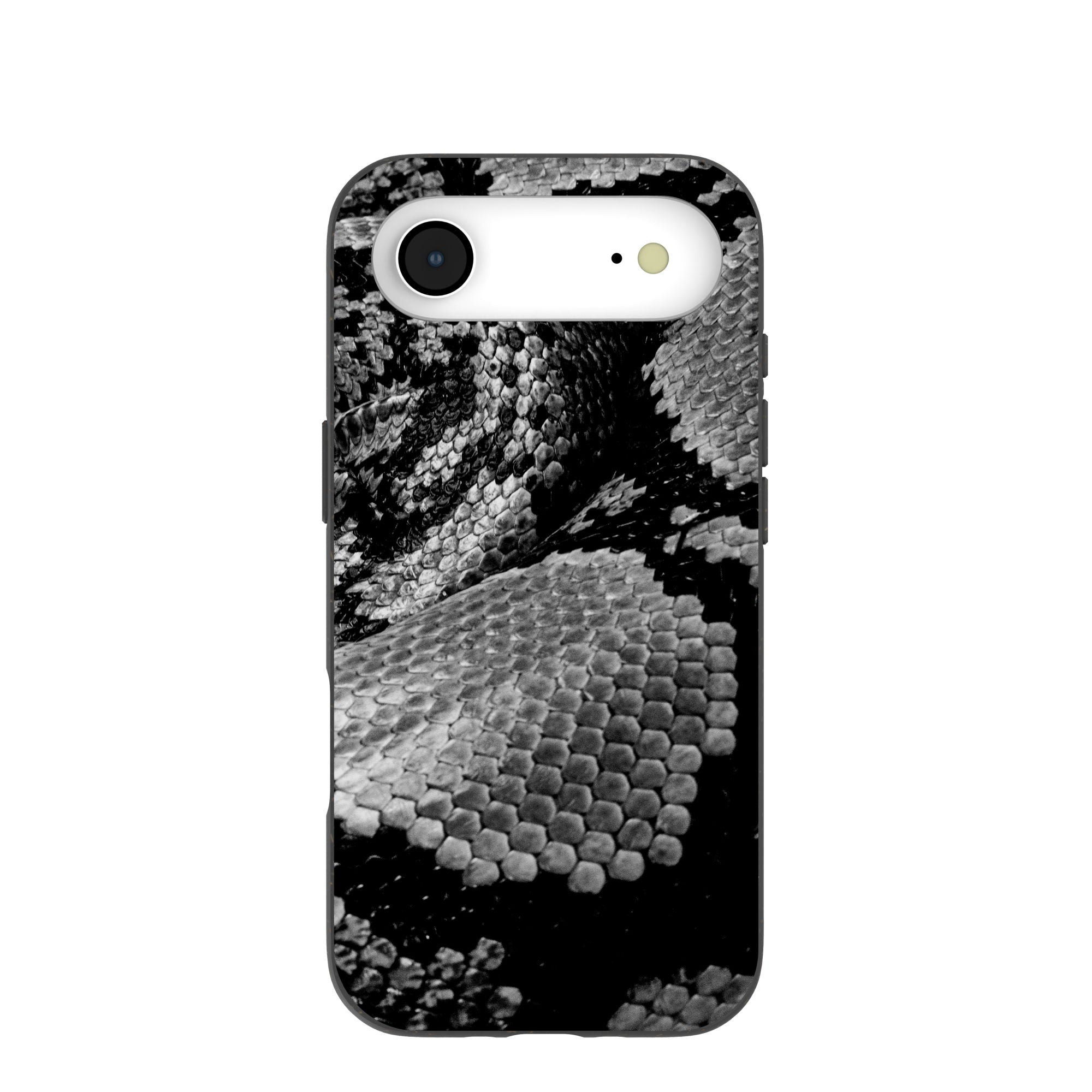 Black Snake Scale iPhone Air Case – Pela Case