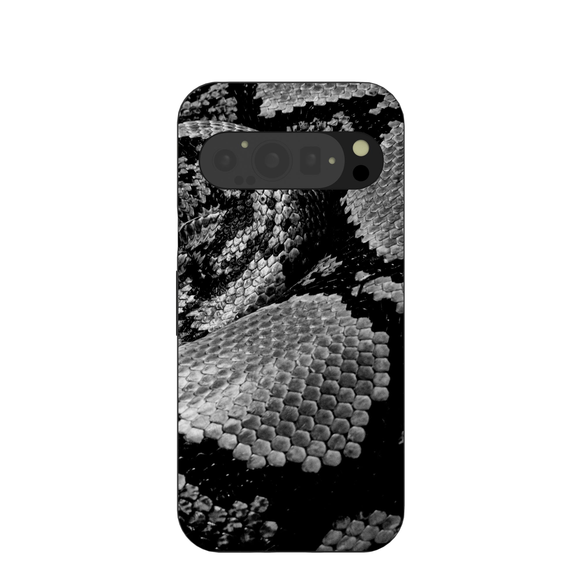 Black Snake Scale Google Pixel 9/9 Pro Case – Pela Case